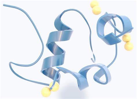 Why Do We Sleep The Biology Behind Your Nightly Rest