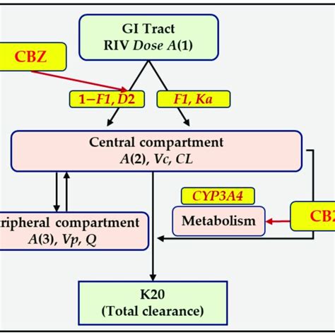 Schematic Representation Of The Poppk Model For Riv And Strategies To Download Scientific