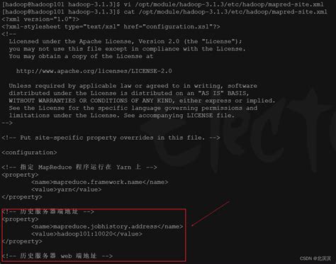 （九）大数据实战——hadoop集群的历史服务器配置与日志聚集 hadoop历史服务 csdn博客