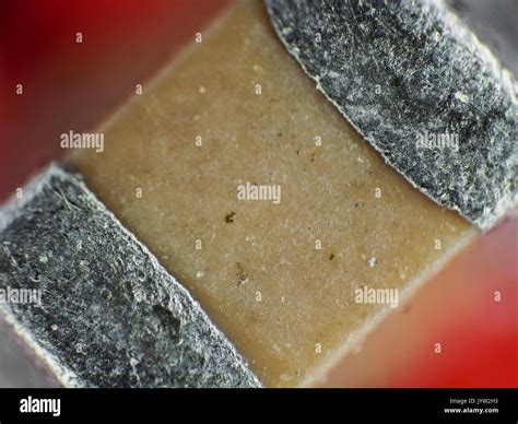 Reflected Light Micrograph Of A Surface Mount Capacitor Pictured Area