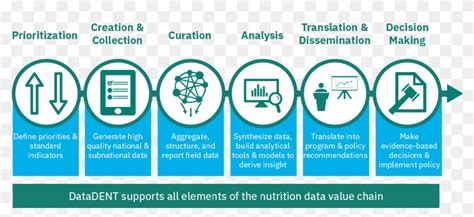 Data Value Chain HD Png Download 1024x450 6840213 PinPng