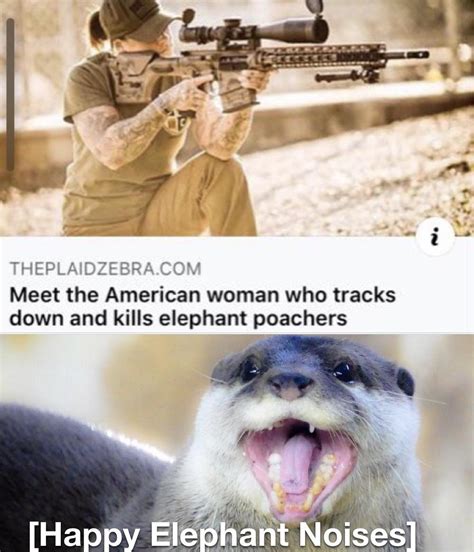 6106 Best R Miniladd Images On Pholder In Case You Want To Know Where Your Hat Is Mini