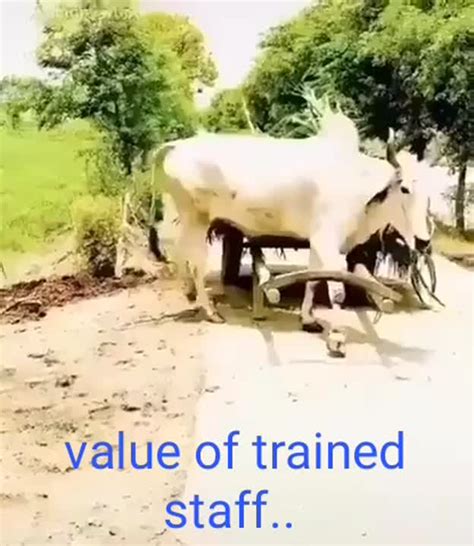Muhammad Attique Posted On Linkedin