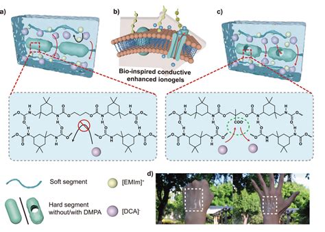 Schematic Illustration Of The Principle Of Conductive Enhanced Ion Gels Download Scientific