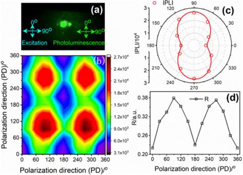 A Dark Field Pl Micrographs And Polarization Orientations Of The
