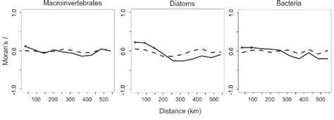 Morans I Correlograms Showing The Degree Of Spatial Autocorrelation