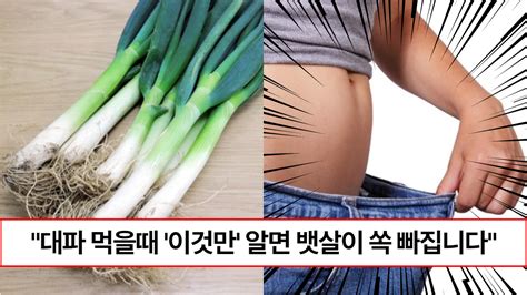 “대파 이렇게 드세요” 내장지방이 녹아 뱃살이 쏙 빠질수 있는 다이어트 방법 뉴스위크