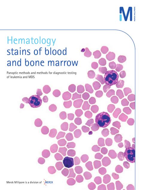 45 Hematología Pdf Staining Fixation Histology