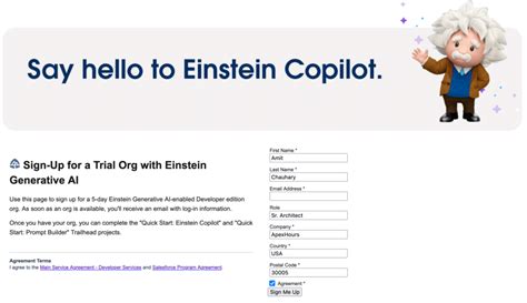 Access For Salesforce Einstein Copilot Apex Hours