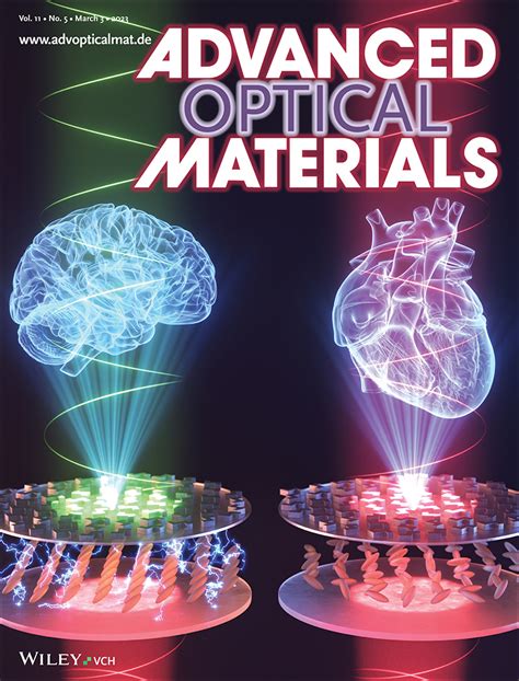 Tunable Metasurface Based On Plasmonic Quasi Bound State In The