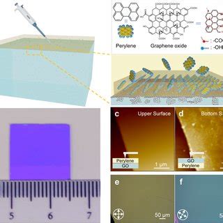 Coassembly And Morphology Of Bilayer Heterostructure A Schematic Download Scientific Diagram