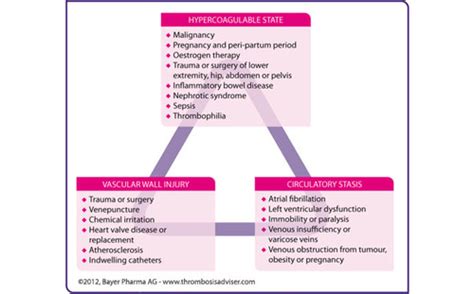Lecture 31 Coagulation Science Flashcards Quizlet
