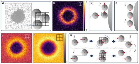 Presentations Sunghan Ro Phd