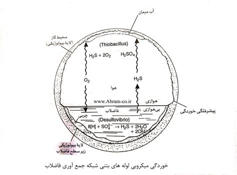 میکروارگانیسم های فاضلاب تصفیه فاضلاب شرکت آب راهبر محاسب