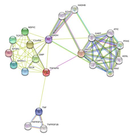 Tnfaip8 General Information Sino Biological