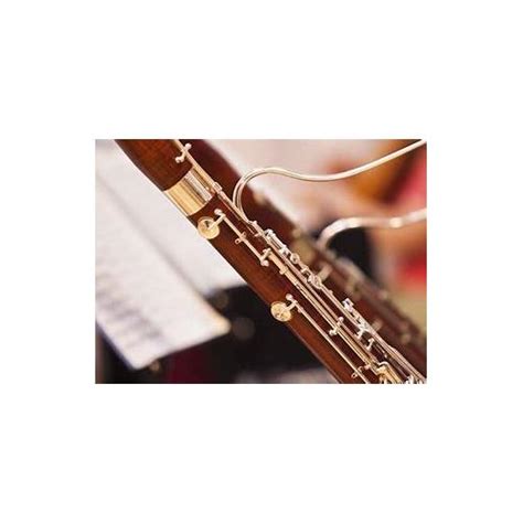 Bassoon Ms Crawford — Newland House