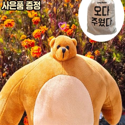 리빙블러썸 New소두곰 인형 곰동석 어깨깡패 남친닮은인형 머리작은인형 애착인형 헬스곰돌이 위시버킷