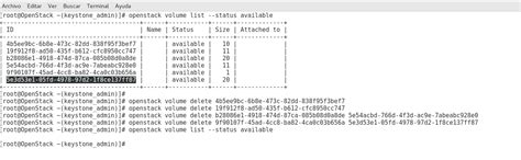 openstack error se ha superado el numero máximo de volúmenes permitidos