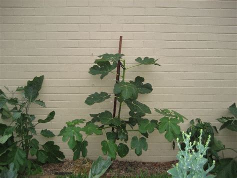 Home Page For Billmitchell Org