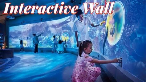 Interactive Wall Displays