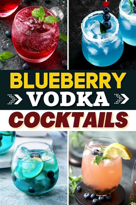 17 Best Blueberry Vodka Cocktails For Summer Insanely Good