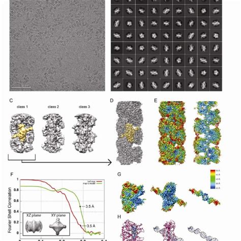 Figure S1 Cryo Em Data A Cryo Em Micrograph Of Sgrai B 2d Class