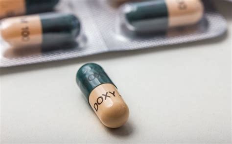 Plasma Cell Pododermatitis Case I Love Veterinary