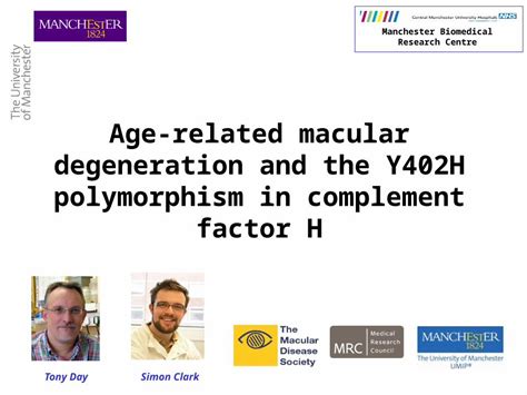 Pptx Age Related Macular Degeneration And The Y402h Polymorphism In Complement Factor H