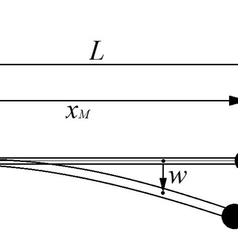 Diagram Of Euler Bernoulli Cantilever Beam Carrying A Point Mass M