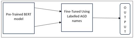fulltext bert based detection and classification of algorithmically generated domains in