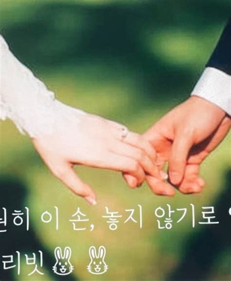 blip 토끼 Lee Know 고양이 Minho