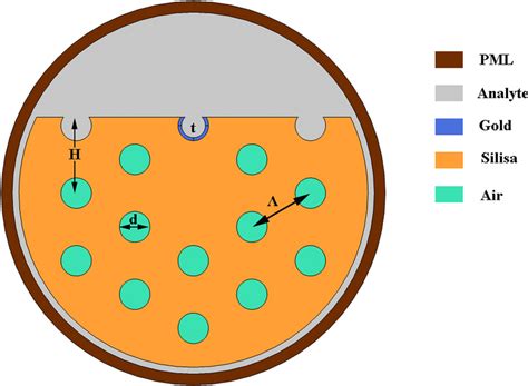 Schematic Illustration Of The Proposed D Shaped Pcf Sensor Download Scientific Diagram