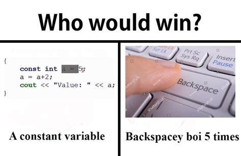 Constant Variable Rprogrammerhumor