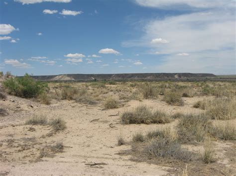 Kit Carson And The 1st New Mexico Infantry At The Battle Of Valverde