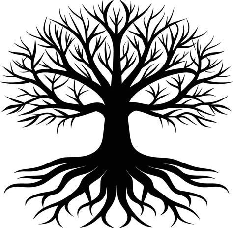 Silhouette Of A Tree With Roots 44763258 Vector Art At Vecteezy
