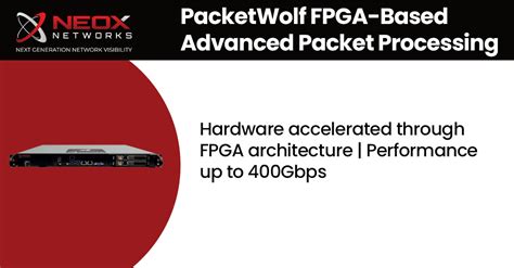 Data Sheet Packetwolf Fpga Based Advanced Packet Processing Appliance Neox Networks