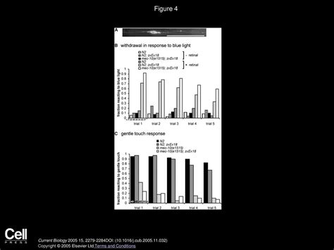 Volume Issue Pages December Ppt Download
