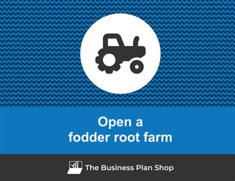 How To Write A Business Plan For A Fodder Root Farm