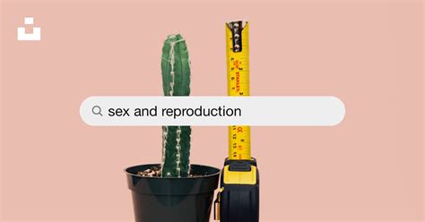 Sex And Reproduction Pictures Download Free Images On Unsplash