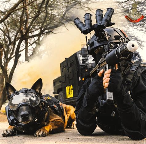 Nsg Commandos Calendar 2024 Download Pdf Dde