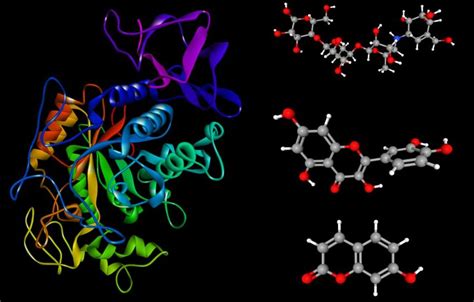 3d Structure Of A α Amylase B Acarbose C Quercetin D