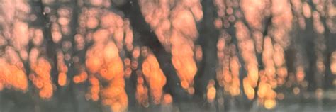 Grumpy Tg Bsky Social On Bluesky