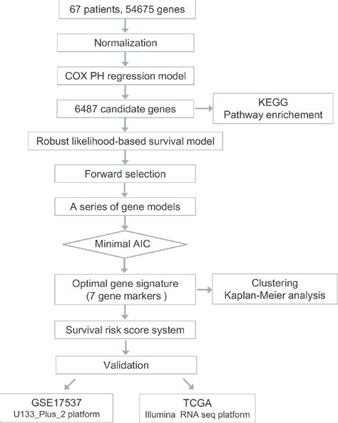 Flow Chart Of Methods For Building The Seven Gene Signature Based On 64