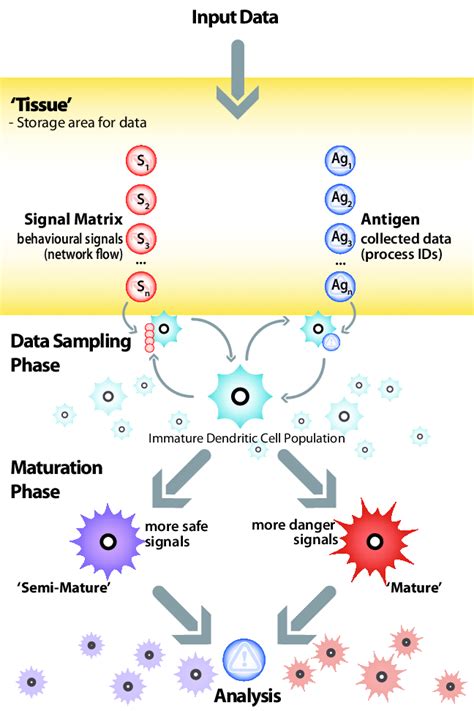 Illustration Of The DCA Showing Data Input Continuous Sampling The Download Scientific