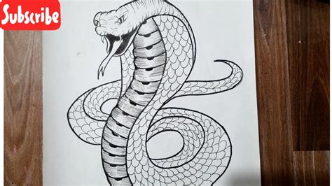 Cobra Snake Sketch