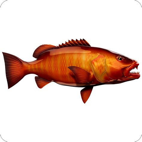 Cubera Snapper Digital Fish Art