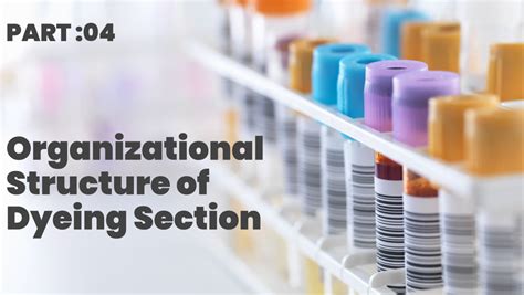 Organizational Structure Of Dyeing Section