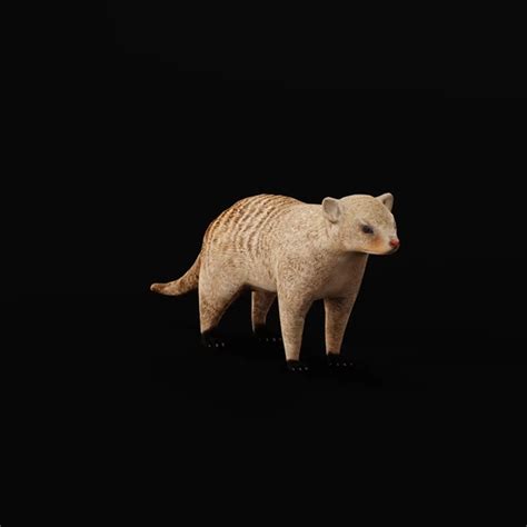 Mongoose 3d Modelle Herunterladen