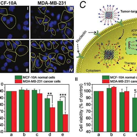A The Atp Driven Release Of Amplex Red From The 1 2 Capped Amplex Download Scientific
