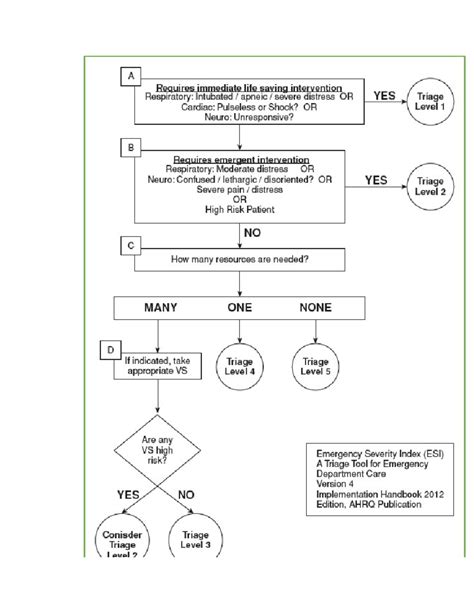 Esi Triage Level Er Trauma Nursing Nurs 3460 Studocu